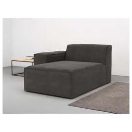 Chaiselongue RAUM.ID "Norvid" Sofas Gr. B/H/T: 123cm x 75cm x 153cm, Struktur weich, Kaltschaum-Armlehne links, grau (dark gray) modular, wahlweise mit Kaltschaum, Komfortschaum oder Taschenfederkern