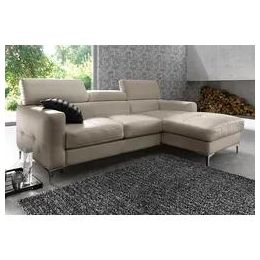 Ecksofa COTTA "Sammy L-Form" Sofas Gr. B/H/T: 226 cm x 92 cm x 105 cm, NaturLEDER, Recamiere rechts, ohne Bettfunktion-mit Kopfteilverstellung, grau wahlweise mit Bettfunktion