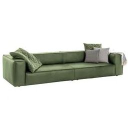 4-Sitzer W.Schillig "around-the-block" Sofas Gr. B/H/T: 300cm x 66cm x 104cm, Longlife Xtra-Leder Z69, grün (green z69) mit eleganter Biese, Federkern