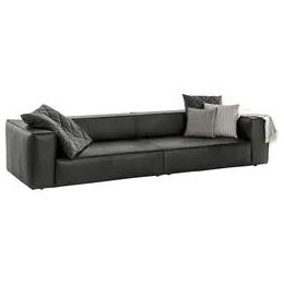 4-Sitzer W.Schillig "around-the-block" Sofas Gr. B/H/T: 300cm x 66cm x 104cm, Longlife Xtra-Leder Z69, grau (anthracite z69) mit eleganter Biese, Federkern