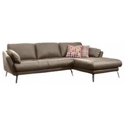 Ecksofa W.Schillig "softy" Sofas Gr. B/H/T: 265 cm x 79 cm x 168 cm, Longlife Xtra-Leder Z59, Recamiere rechts, braun (stone z59) mit dekorativer Heftung im Sitz, Füße Chrom glänzend