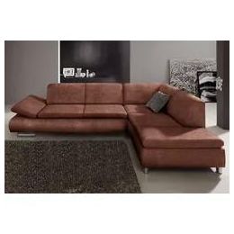 Ecksofa Max Winzer "Toulouse modern und bequem, aktuelles Design, hoher Sitzkomfort" Sofas Gr. B/H/T: 237cm x 75cm x 190cm, Leder 93700, Ottomane rechts, braun (cognac) mit klappbaren Armlehnen, Breite 237 cm