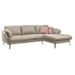 Ecksofa W.Schillig "softy" Sofas Gr. B/H/T: 265cm x 79cm x 168cm, Longlife Xtra-Leder Z59, Recamiere rechts, grau (eisgrau z59) mit dekorativer Heftung im Sitz, Füße Chrom glänzend