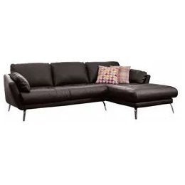 Ecksofa W.Schillig "softy" Sofas Gr. B/H/T: 265 cm x 79 cm x 168 cm, Longlife Xtra-Leder Z59, Recamiere rechts, braun (braun z59) mit dekorativer Heftung im Sitz, Füße Chrom glänzend