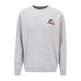 Fila Sweatshirt 'LAHTI' male Grey size M