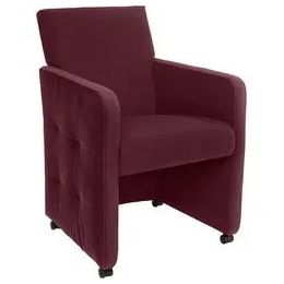 Sessel exxpo - SOFA FASHION "Barista, Loungesessel" Gr. Luxus-Microfaser, Sessel, B/H/T: 61cm x 88cm x 70cm, rot (burgundy) Esszimmersessel Sessel Breite 61 cm