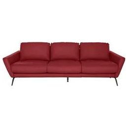 Big-Sofa W.Schillig "softy" Sofas Gr. B/H/T: 254cm x 79cm x 113cm, Longlife Xtra-Leder Z59, rot (ruby red z59) mit dekorativer Heftung im Sitz, Füße schwarz pulverbeschichtet