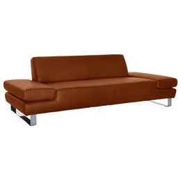 3-Sitzer W.Schillig "taboo" Sofas Gr. B/H/T: 232 cm x 76 cm x 91 cm, Longlife Xtra-Leder Z69, mit Armlehnenverstellung, braun (cognac z69) mit Normaltiefe, inklusive Armlehnenverstellung