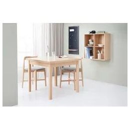 Essgruppe HAMMEL FURNITURE "Findahl/Basic by Hammel Dinex/Dora" Sitzmöbel-Sets braun (naturfarben + graugrün natur) mit Dinex Esstisch 90(166)x90 und 2 Dora Stühle