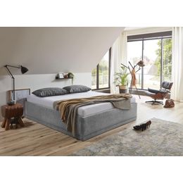 Polsterbett "Texel", grau, B:186cm, Bezug Bett: Veloursstoff 100% Polyester oder Microfaser (100% Polyester);Bonnell-Federkernmatratze: 51% Polypropylen, 39% Polyester und 10% Baumwolle;Kaltschaummatratze: 100% Polyester, Bezug abnehm- und waschbar bis 60C;Kissenbezug: 100% Polyester, Füllung : 100% Polyester (Hohlfaser), Westfalia Schlafkomfort, Betten, Komforthöhe mit Zierkissen, Bettkasten bei 