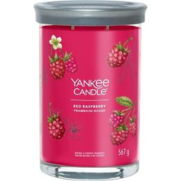 yankee candle Raumdüfte Tumbler Red Raspberry