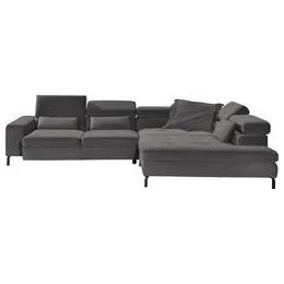 Ecksofa Gallery M BRANDED BY MUSTERRING "Felicia Due L-Form" Sofas Gr. B/H/T: 312cm x 82cm x 218cm, Leder BAX, Longchair rechts, ohne Sitzvorzug, grau (anthrazit) Wahlweise mit Sitzvorzug, inkl. Kopfteilverstellung, Sitzhöhe 43 cm