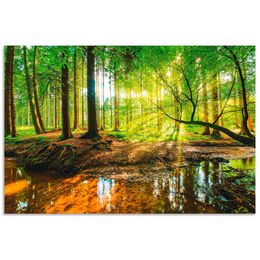 Wandbild Artland "Wald mit Bach" Bilder Gr. B/H: 90 cm x 60 cm, Alu-Dibond-Druck Wald Querformat, 1 St., grün als Alubild, Outdoorbild, Leinwandbild, Poster, Wandaufkleber