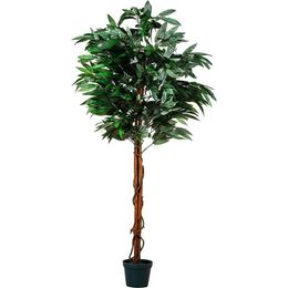 Mangobaum, Kunstbaum, Kunstpflanze, 180cm - PLANTASIA