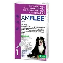 Amflee® Amflee 402 mg Spot-on Lsg.f.sehr gr.Hunde 40-60kg 3 St 3 St