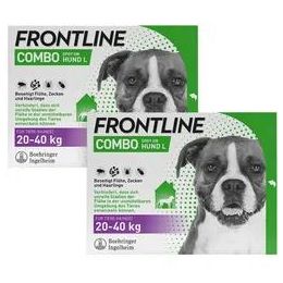 FRONTLINE COMBO Hund L 20-40 kg 2X3 St