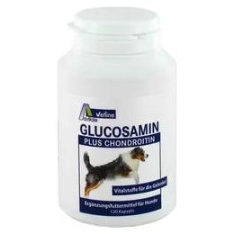 Avitale Glucosamin+Chondroitin für Hunde 120 St