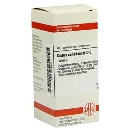 DHU-Arzneimittel Cistus Canadensis D 6 Tabletten 80 St