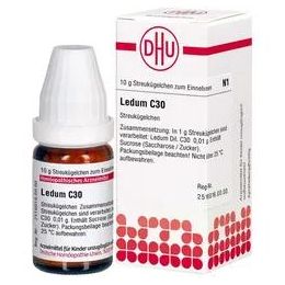 DHU-Arzneimittel Ledum C 30 Globuli 10 g