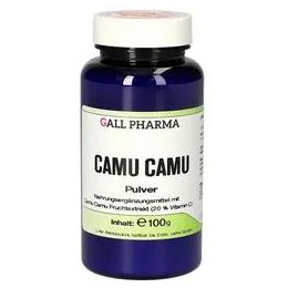 CAMU CAMU Pulver 100 g