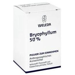 Weleda Bryophyllum 50% Pulver zum Einnehmen 20 g