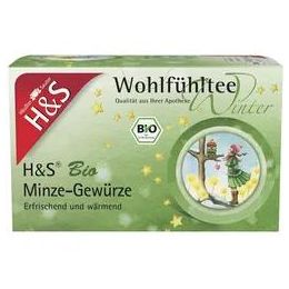 H&S Wintertee Bio Minze-Gewürze Filterbe 20X2,0 g