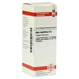 DHU-Arzneimittel APIS Mellifica D 6 Dilution 20 ml