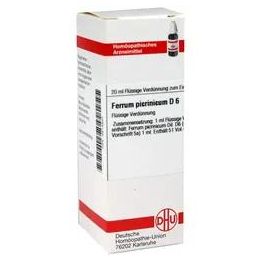 DHU-Arzneimittel Ferrum Picrinicum D 6 Dilution 20 ml