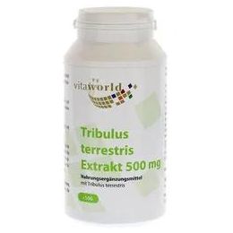 vitaworld Tribulus Terrestris Extrakt 500 mg Kapse 100 St