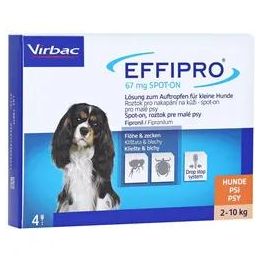 Virbac Effipro 67 mg zum Auftropfen für kleine Hunde 4 St