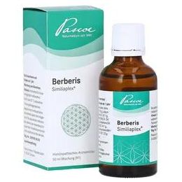 Pascoe Berberis Similiaplex Mischung 50 ml