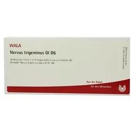 WALA Nervus Trigeminus GL D 6 Ampullen 10X1 ml
