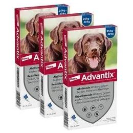 Advantix Spot-on Hunde 25-40 kg 12X4,0 ml