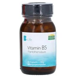 Heidelberger Chlorella Vitamin B5 Kapseln 60 St