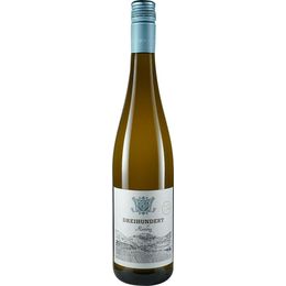 Weingut Hahn Pahlke Hahn Pahlke 2023 Dreihundert Grand-Vintage Riesling trocken