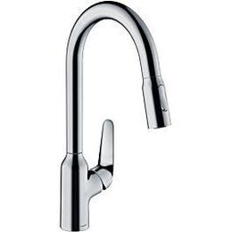 Hansgrohe Focus M42 Küchenarmatur 220 2jet 71820000 mit Ausziehbrause, Schwenkbereich 360°, chrom