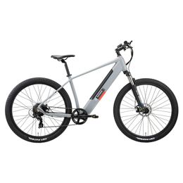 Telefunken M921 E-MTB 29" aluminiumgrau