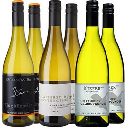 WirWinzer Select 2018 Weißweinpaket Baden