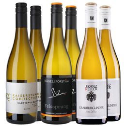 WirWinzer Select 2019 Badische Weißweinreise