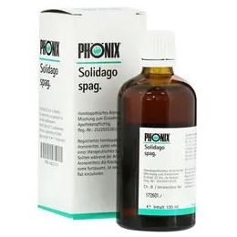 Phönix Solidago Spag.mischung 100 ml