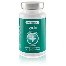 aminoplus lysin plus 60 St