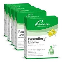 Pascoe Pascallerg 500 St