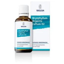 Weleda Bryophyllum Argento Cultum D 3 Dilution 50 ml