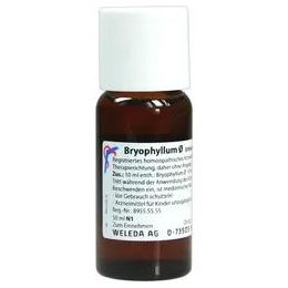 Weleda Bryophyllum Urtinktur 50 ml