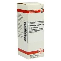 DHU-Arzneimittel Convallaria Majalis D 4 Dilution 20 ml