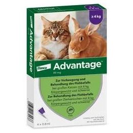 Advantage 80 mg für Katzen und Zierkaninchen über 4 kg 4X0,8 ml