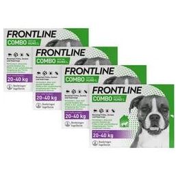 FRONTLINE COMBO Hund L 20-40 kg 4X3 St