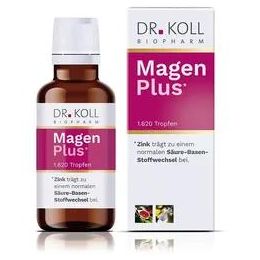 Dr. Koll Magen Plus Komplex Silberlinde Feige 50 ml