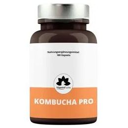 Kombucha Kapseln mit Vitamin E - Hochdosiert VitaminFuchs 180 St