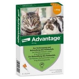 Advantage 40 mg für Katzen und Zierkaninchen bis 4 kg 4X0,4 ml